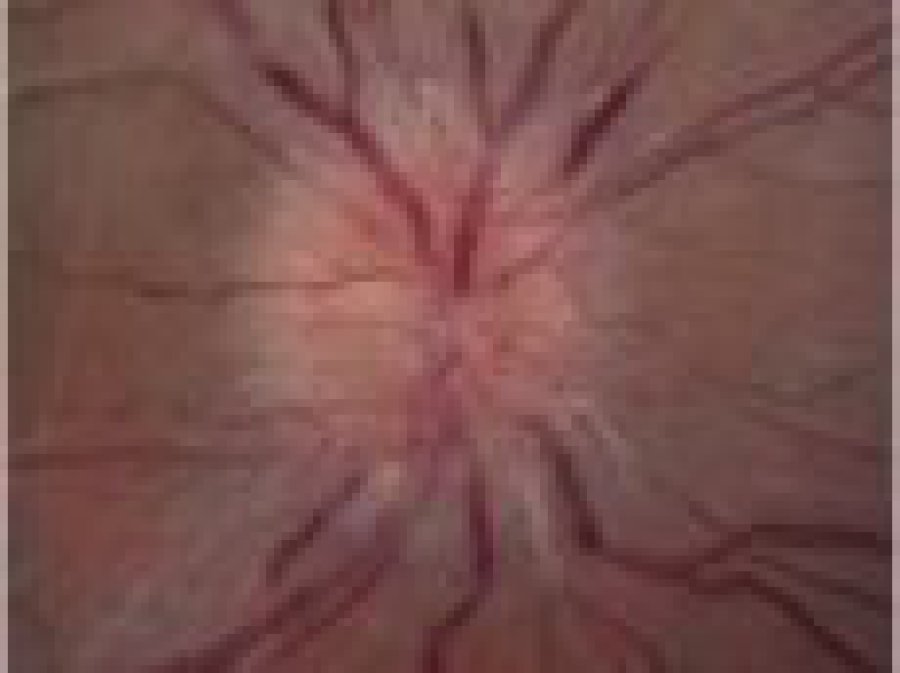 Curriculum : ebrain Curriculum | ebrain
